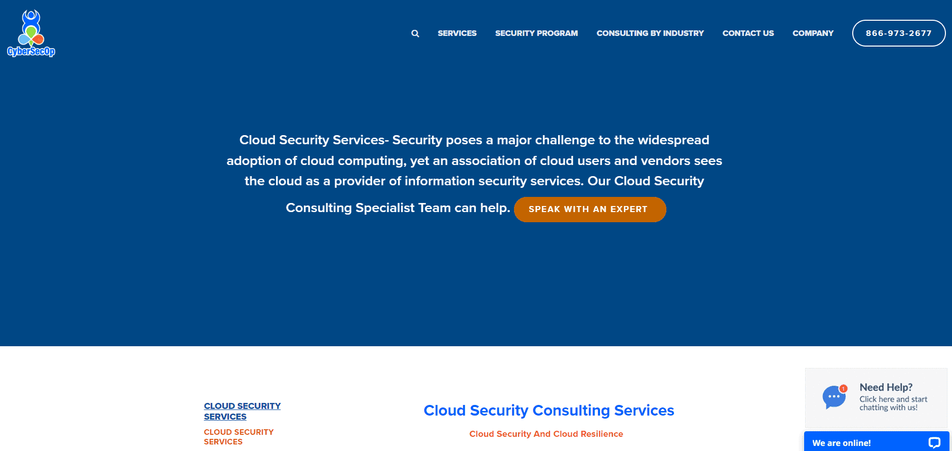 Best Cloud Security Companies in 2024: Reviews & Pricing